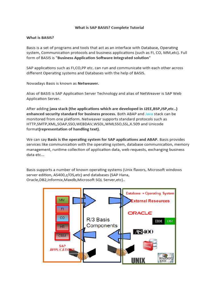 What Is SAP BASIS | PDF | Operating System | Databases
