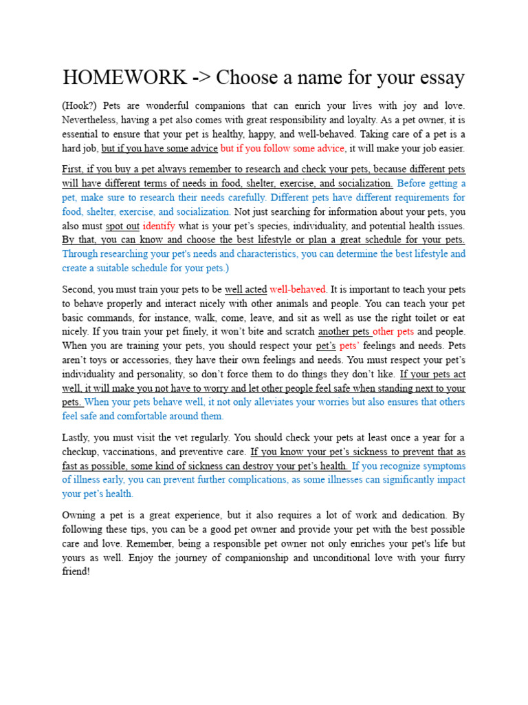Writing Assignment No.2 | PDF | Pet
