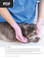 Swine Blood Collection Guide | PDF | Vein | Syringe