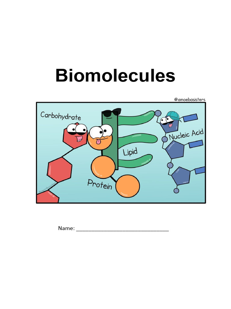 Biomolecules Booklet | PDF | Biomolecules | Carbohydrates