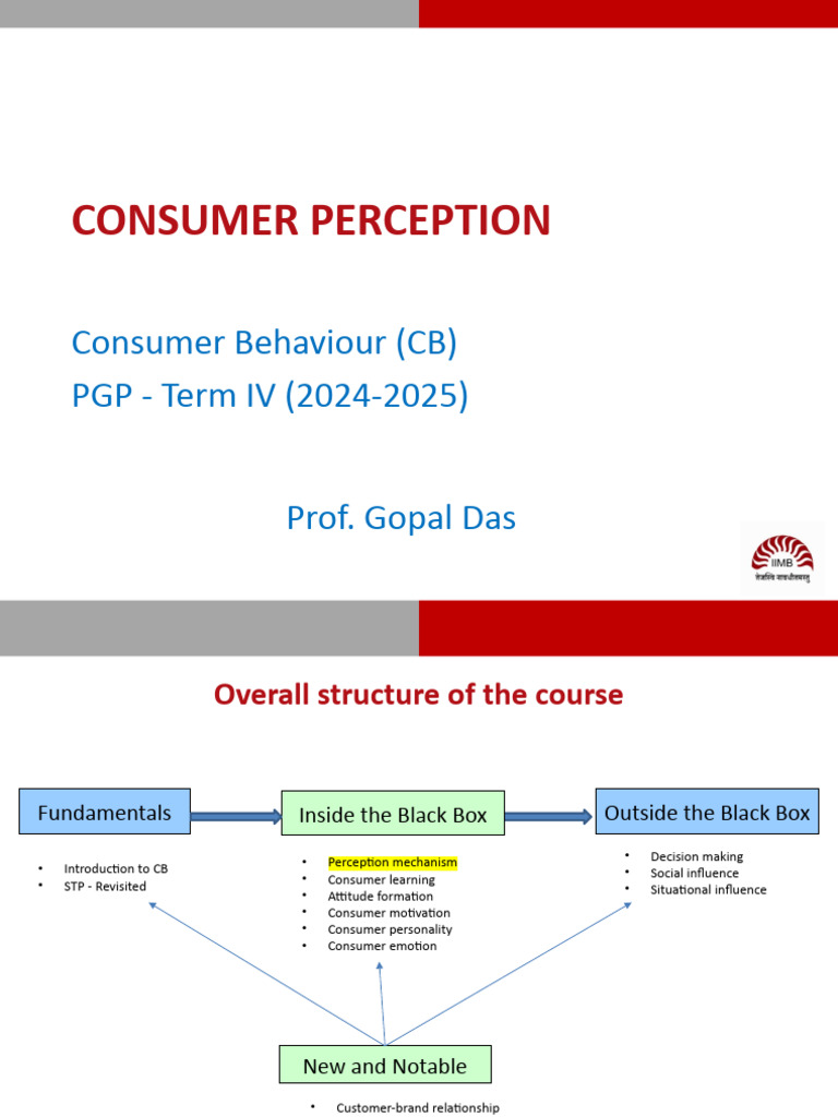 Consumer Perception | PDF | Perception | Customer Satisfaction