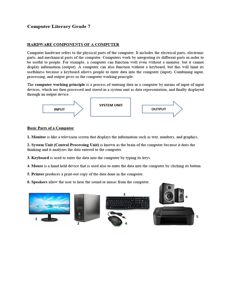 Lesson-2-Grade-7-Computer-Literacy | Download Free PDF | Input/Output | Computer Hardware