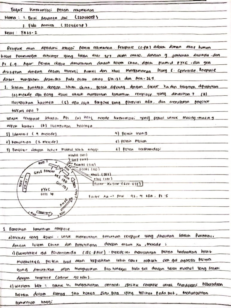 Desti Reswinta Sari 220106058 & Elda Annira 220106078 - DFA22-2 - Tugas Biotek Karakterisasi ...