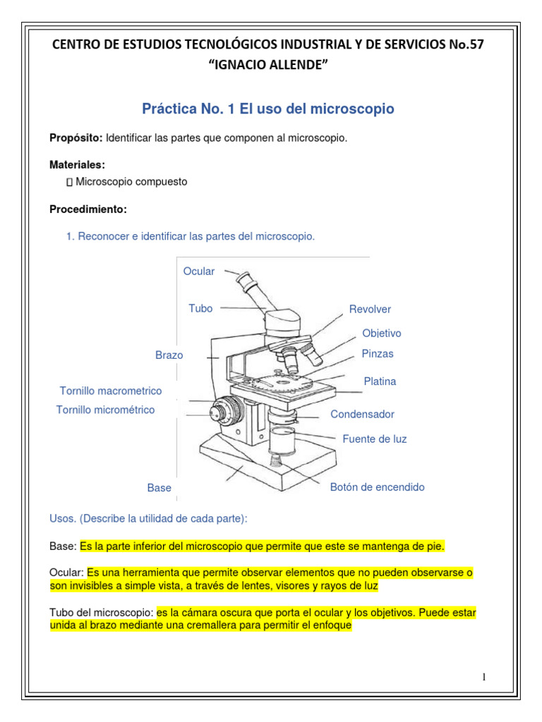 Microscopio Practica | PDF | Lente de la cámara | Microscopio