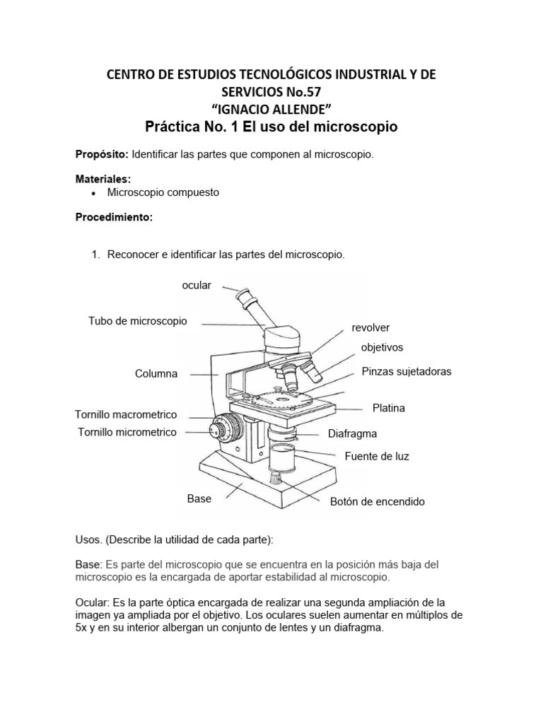 Practica Microscopio | PDF | Microscopio | Óptica