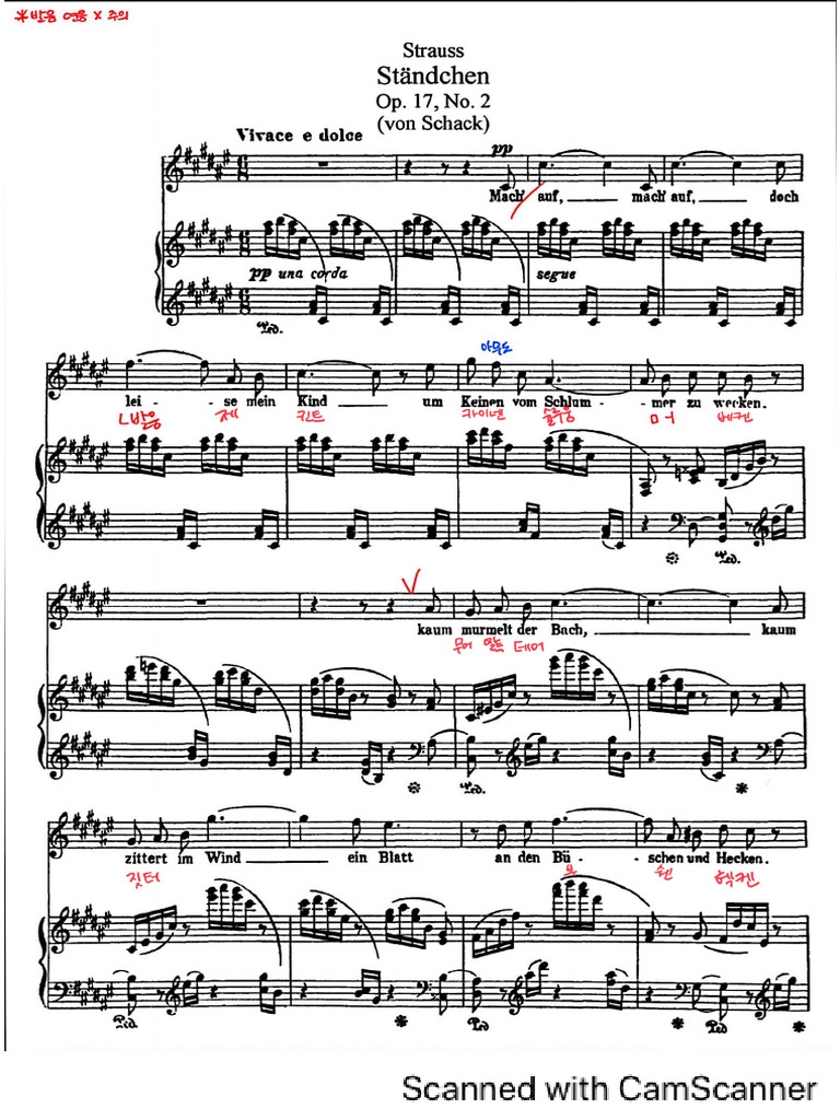 Standchen Strauss | PDF