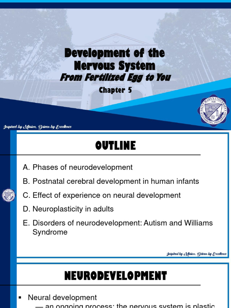 Neurodevelopment: From Zygote to Disorders | PDF | Autism Spectrum ...