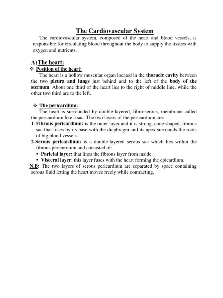 The Cardiovascular System BME 405A | PDF | Heart Valve | Ventricle (Heart)