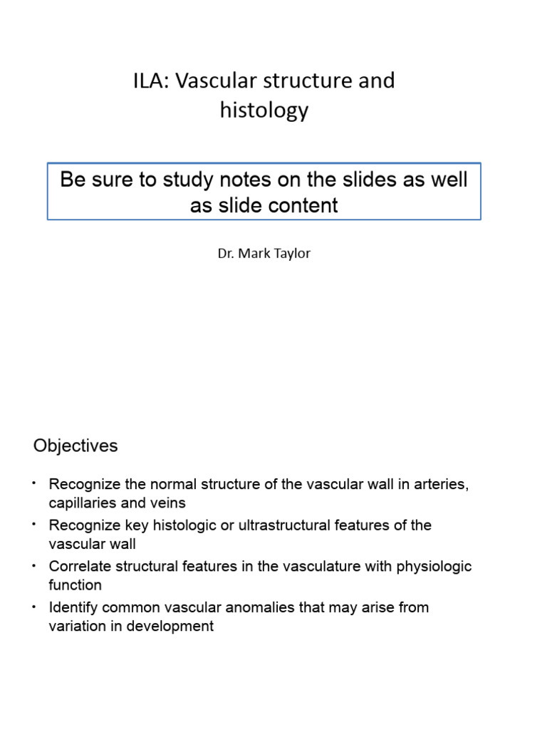 Taylor - Vascular Histology ILA | PDF | Capillary | Endothelium