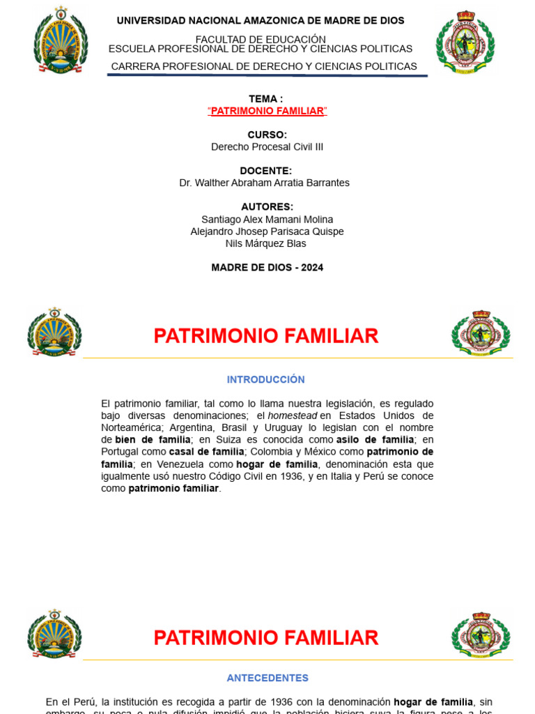 Patrimonio Familiar | PDF | Bienes (Ley) | Propiedad