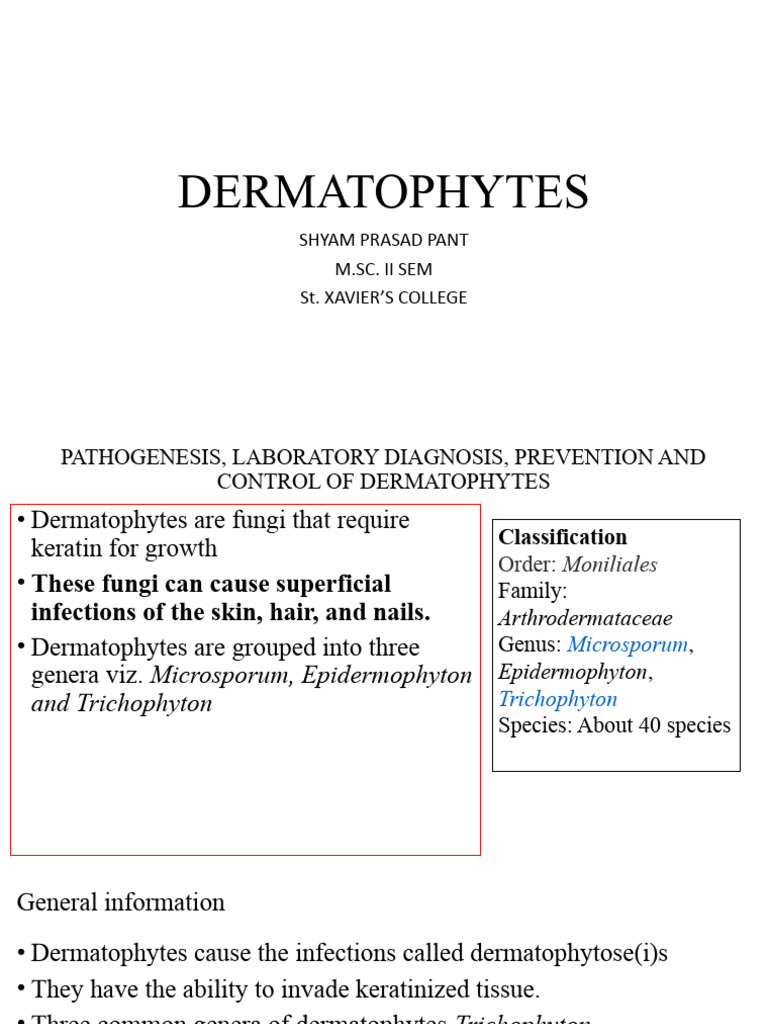 Dermatophytes | PDF | Fungus | Mycology