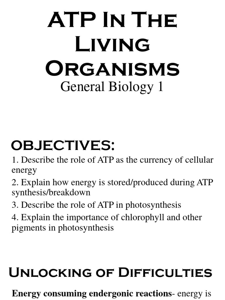 2nd ATP in The Living Organisms | PDF | Adenosine Triphosphate ...