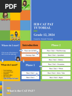 CAT PAT Task Guidelines 2024 | PDF | Spreadsheet | Information