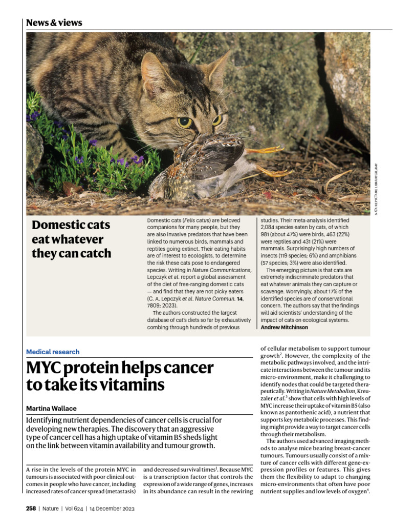 Artigo Nature | PDF | Myc | Laser