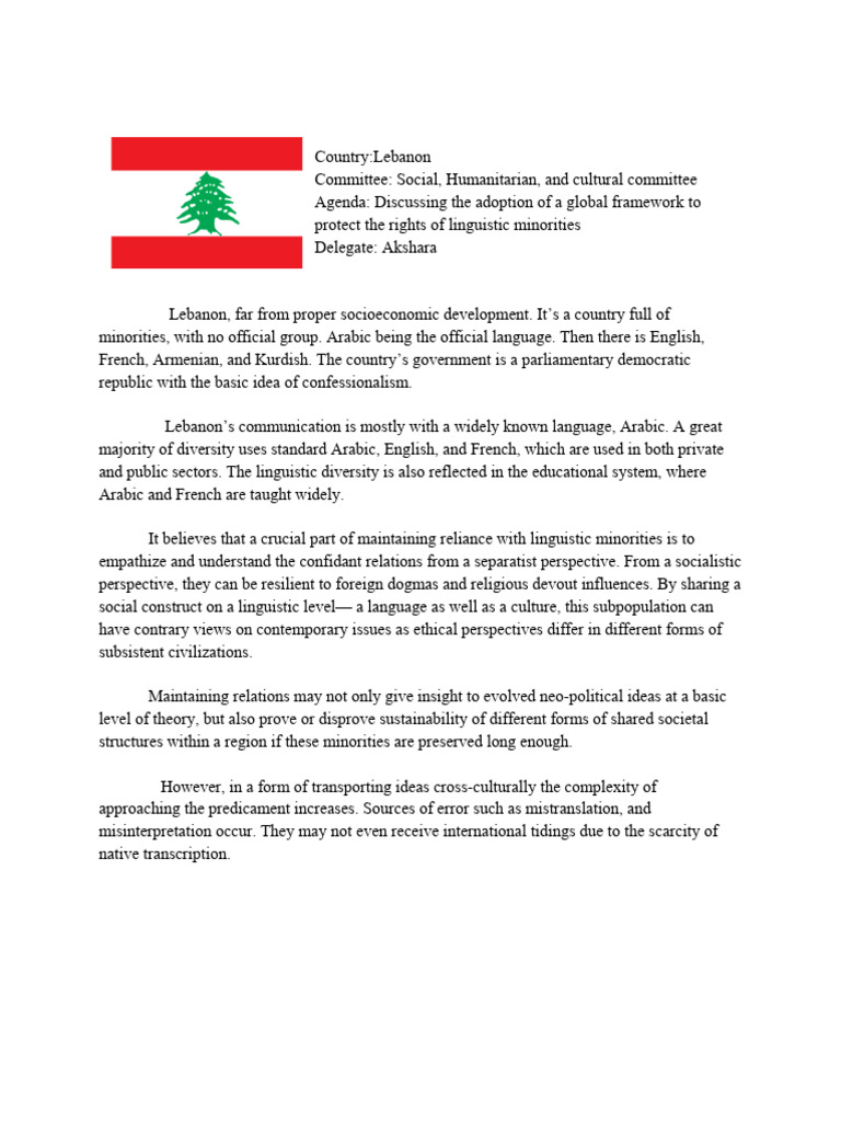 Position Paper-Lebanon (SOCHUM) | PDF | Social Science
