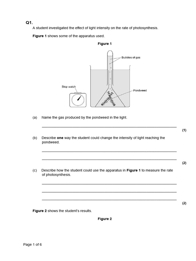 Pondweed Photosynthesis Experiment Guide | PDF | Photosynthesis | Starch