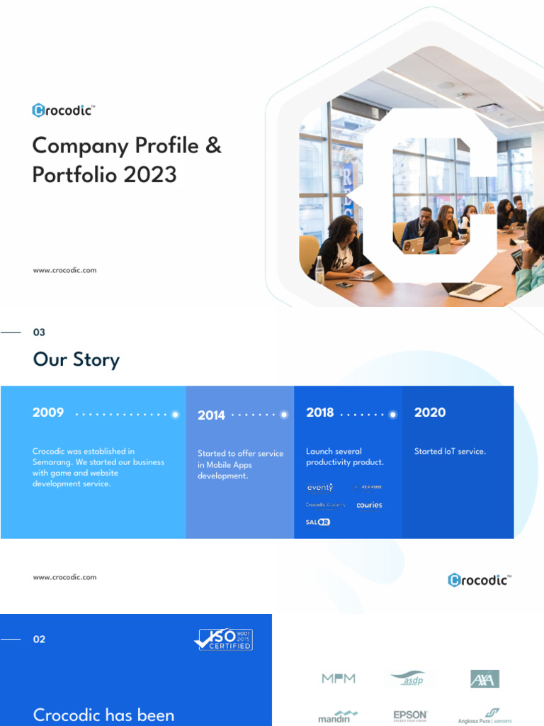 Company Profile Example PDF Usability Mobile App
