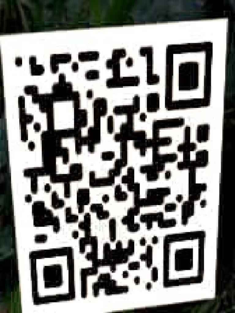 Adobe Scan 28 jun 2024 | PDF