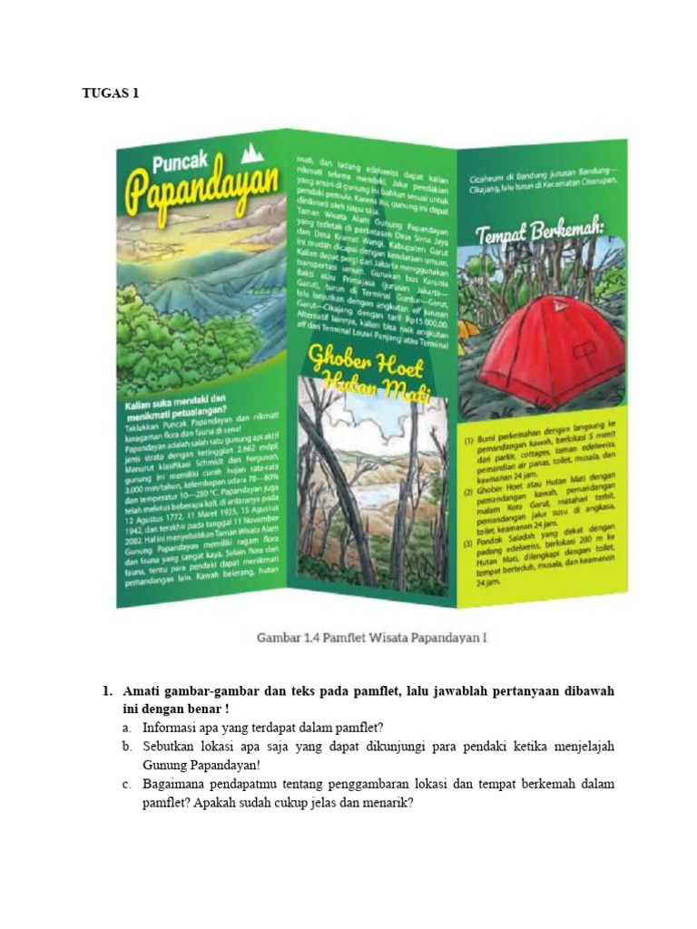 Latihan Soal Pamflet | PDF