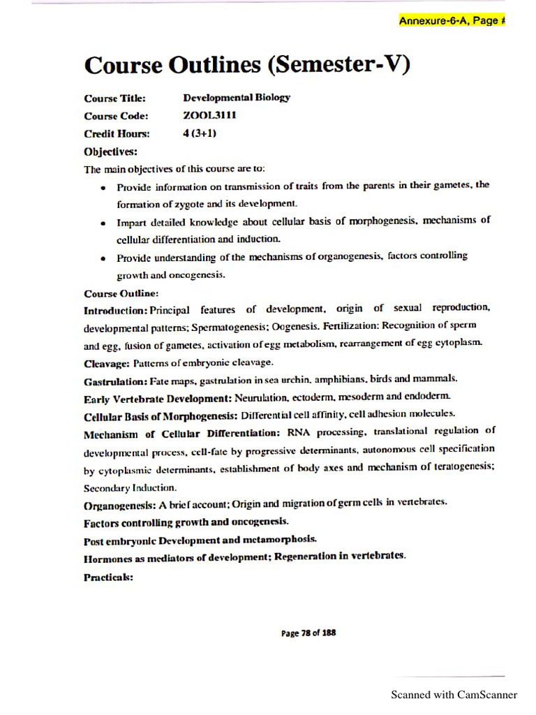 5th Semester Outline | PDF