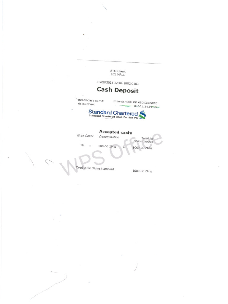 Document-WPS Office | PDF