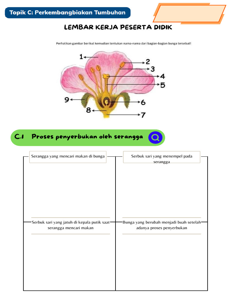 LKPD IPAS Perkembangbiakan Tumbuhan | PDF