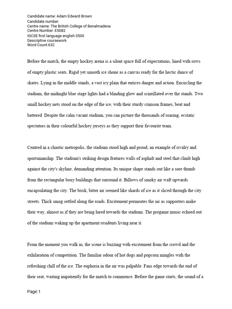 Descriptive Analysis of a Hockey Match | PDF | Games & Activities ...