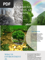 Samtrac Study Questions V2 | PDF | Risk | Ecosystem