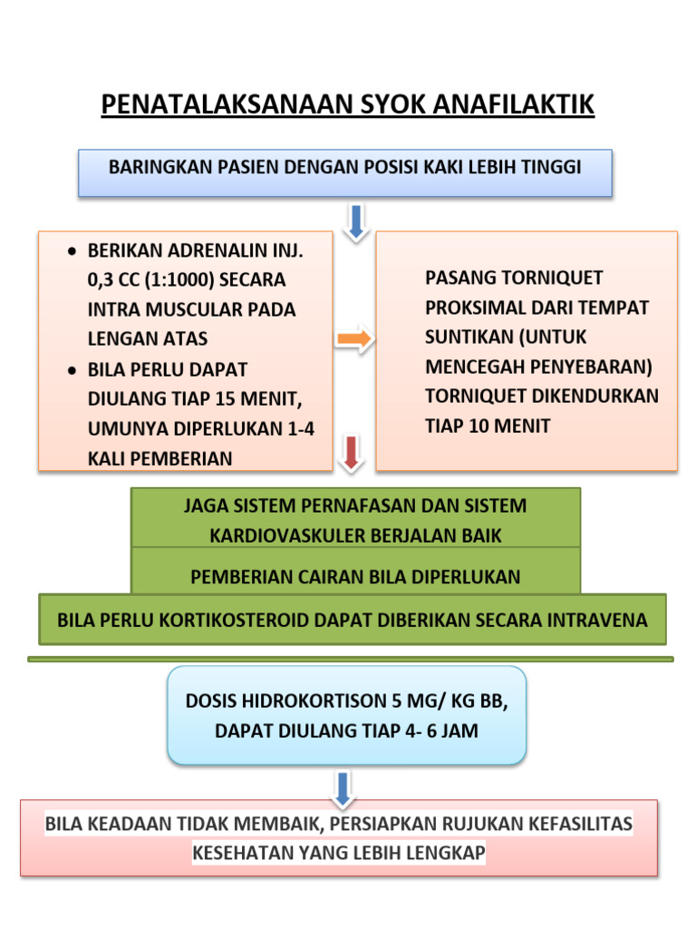 Syok Anafilaktik | PDF