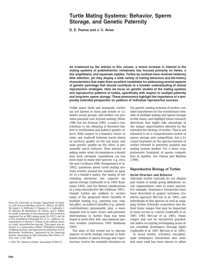 Turtle Mating System | PDF | Fertilisation | Turtle