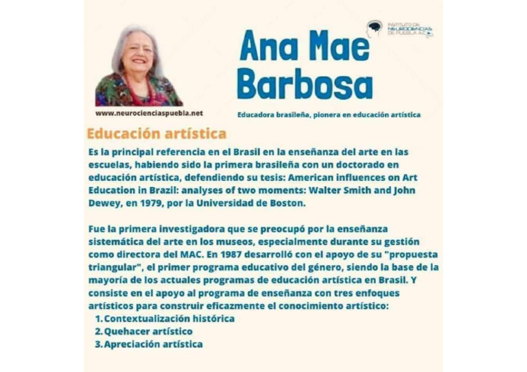 Ana Mae Barbosa | PDF