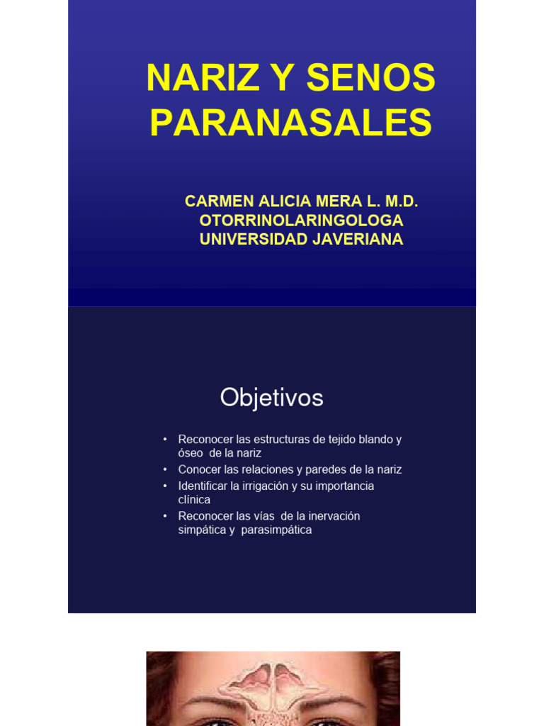 2430-Nariz y Senos Paranasales | PDF | Nariz humana | Sistema olfativo
