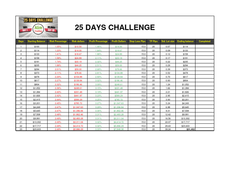 25 Days Challenge | PDF | Financial Risk | Private Sector