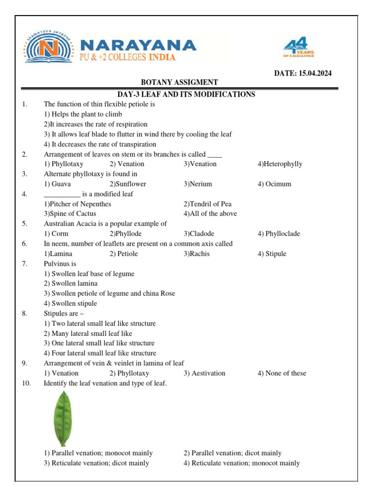 Day 3 Botany | PDF | Leaf | Botany