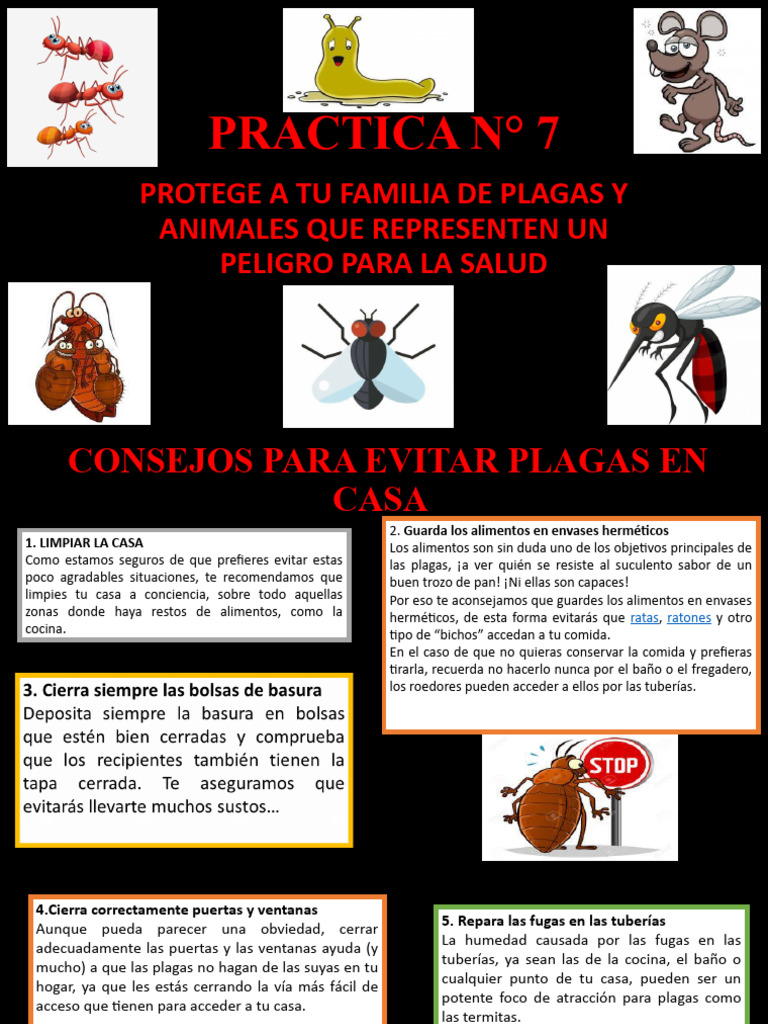 PLAGAS | PDF | Alimentos | Plaga (organismo)