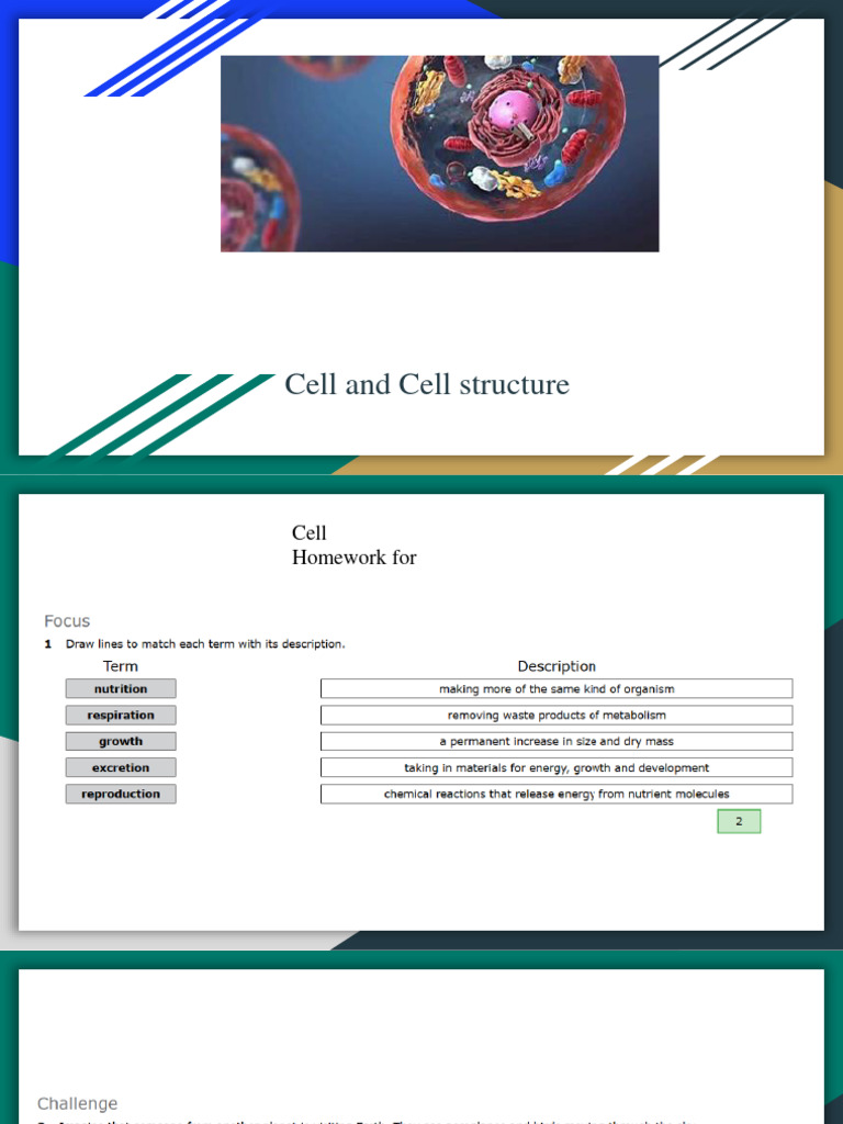 Cell and Cell Structure | PDF | Cell (Biology) | Chloroplast