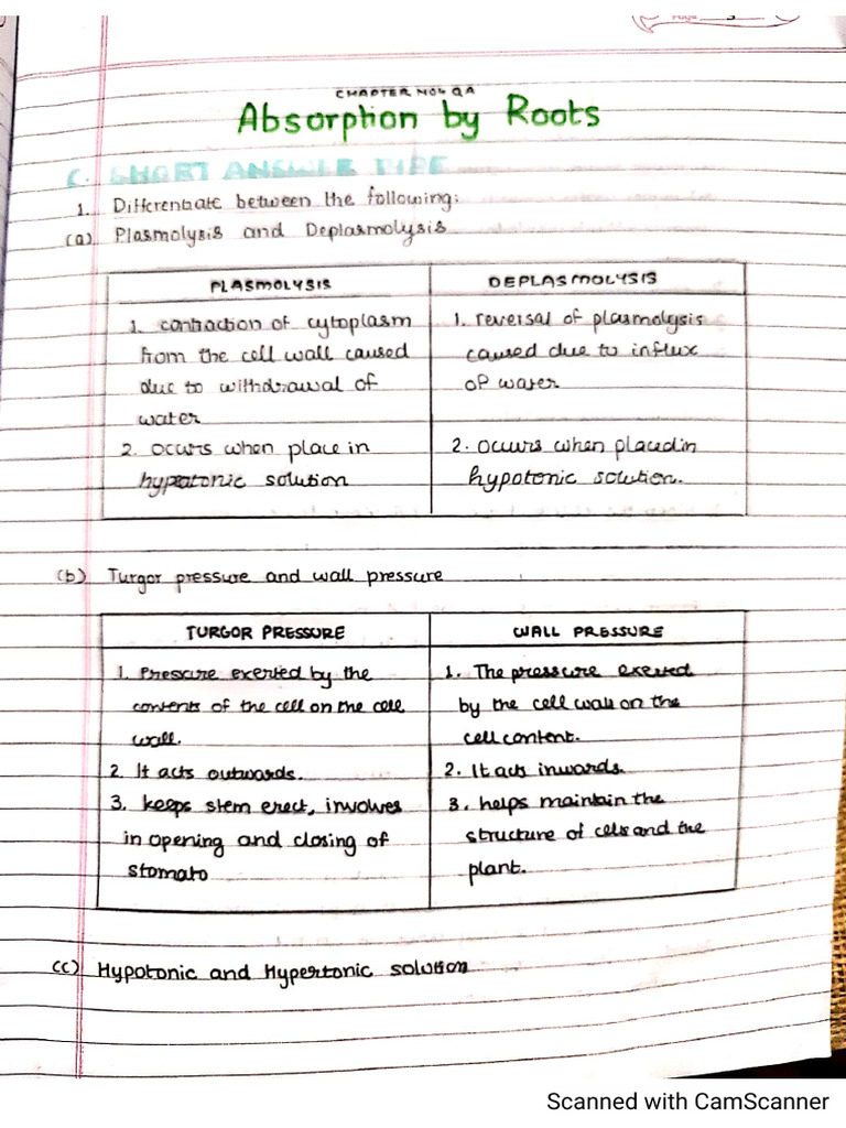 Absorption by Roots ICSE Class 10 | PDF