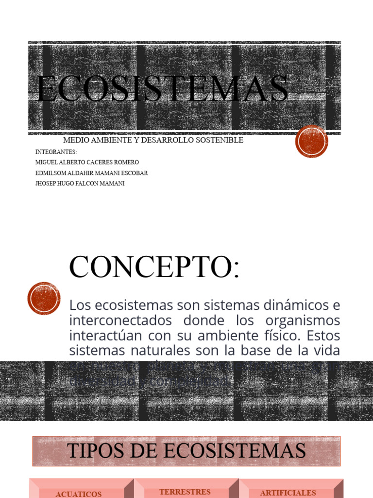 ECOSISTEMAS | PDF | Ecosistema | Ecología