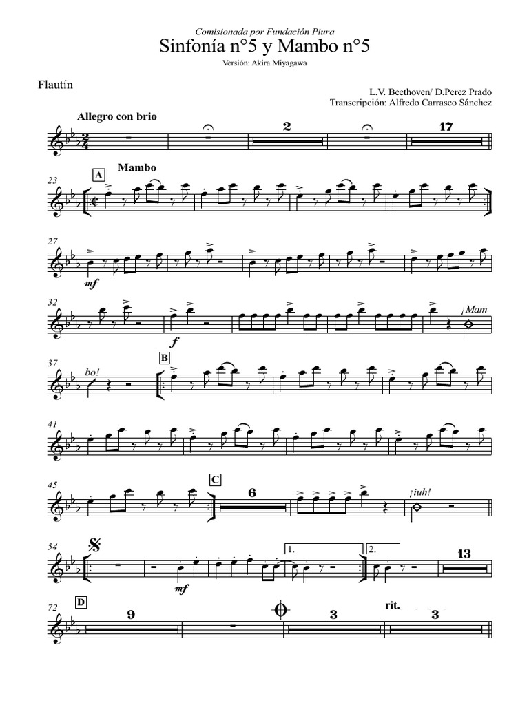 Flautas y Piccolo | PDF