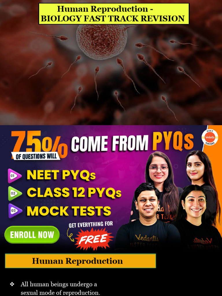 Human Reproduction One Shot - Ekta Soni | PDF | Menstrual Cycle | Biological Processes