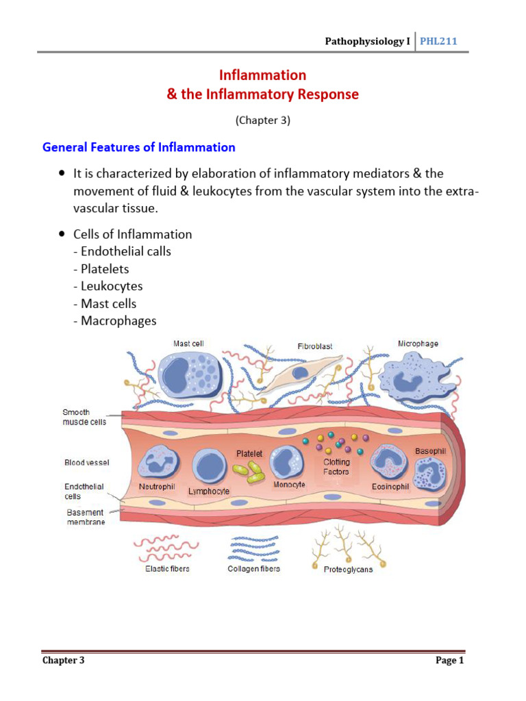 Topic 2 Inflammation | PDF | Inflammation | Clinical Medicine