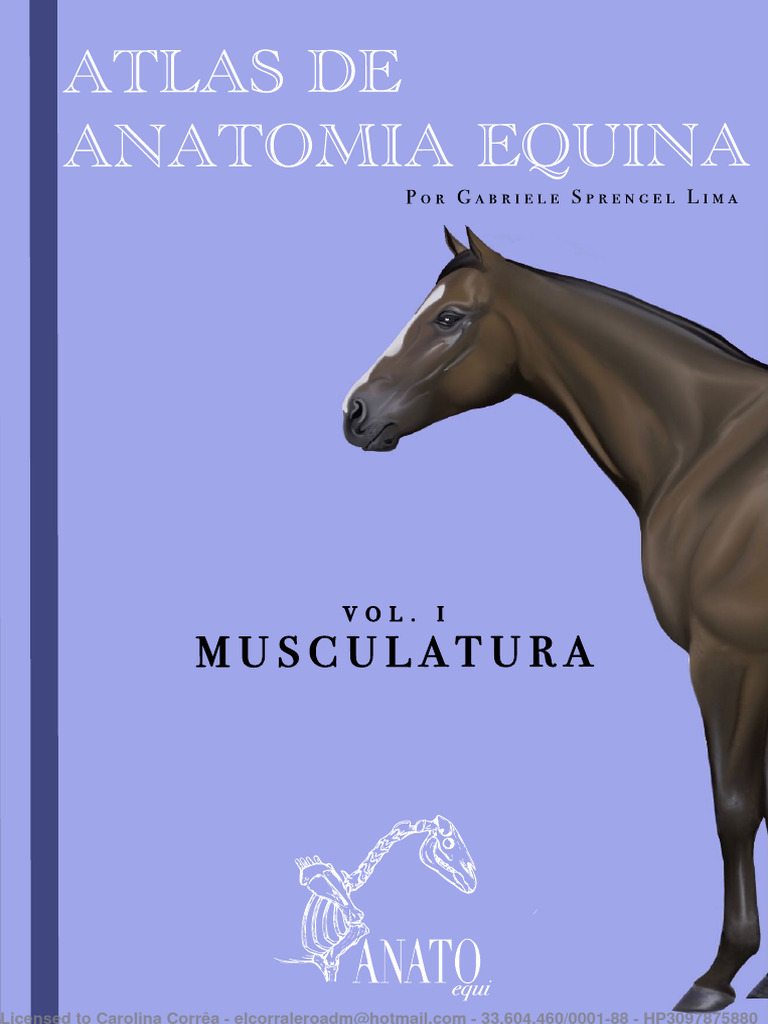 Atlas Anatomia Equina Sprengel Versao Atualizada Reduced | PDF | Sports ...