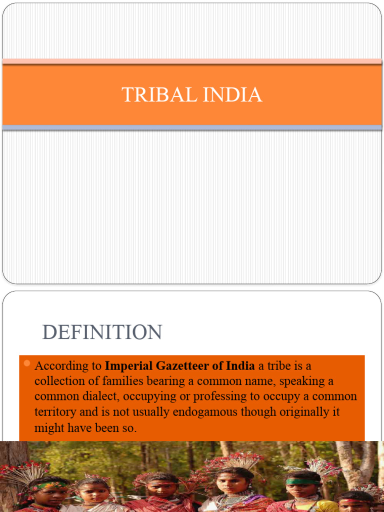 Tribal India | PDF | Tribe