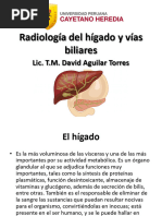 Anatomía Del Colédoco Pietrafita | PDF | Vesícula biliar ...