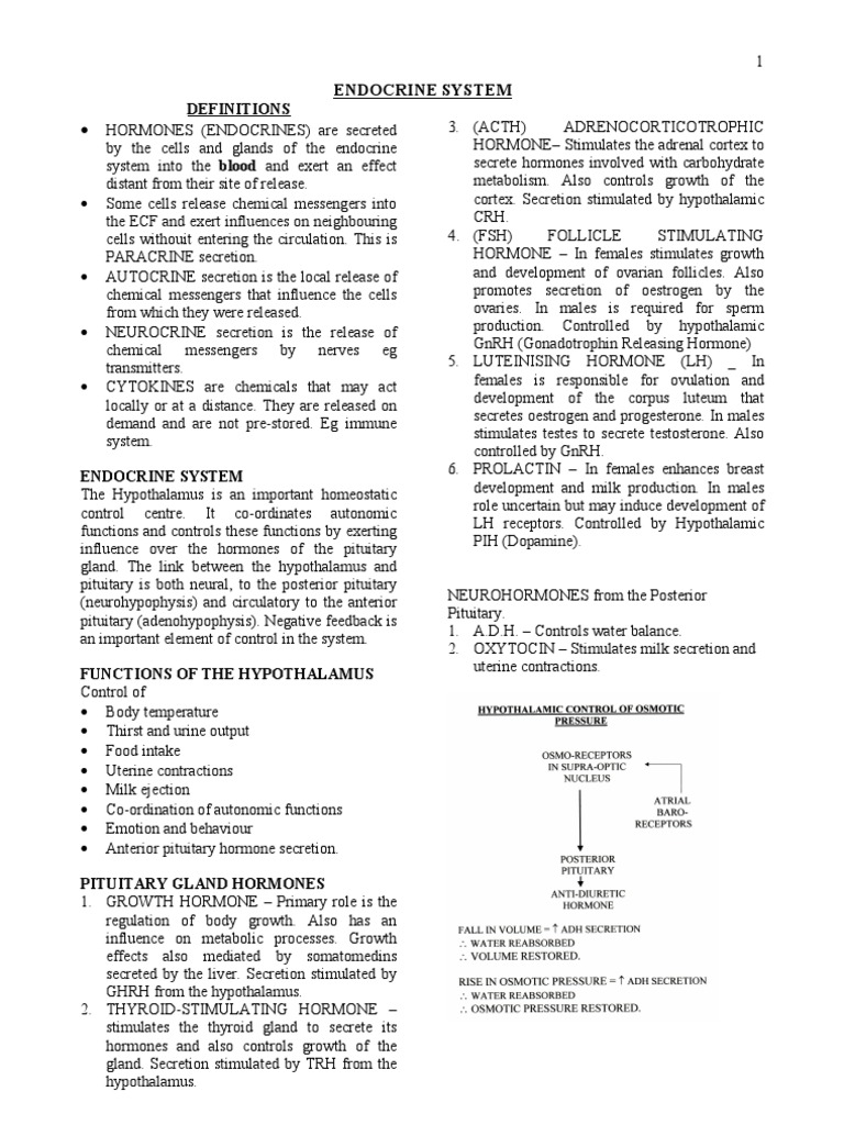 Endocrine System: Definitions | PDF | Thyroid Stimulating Hormone ...