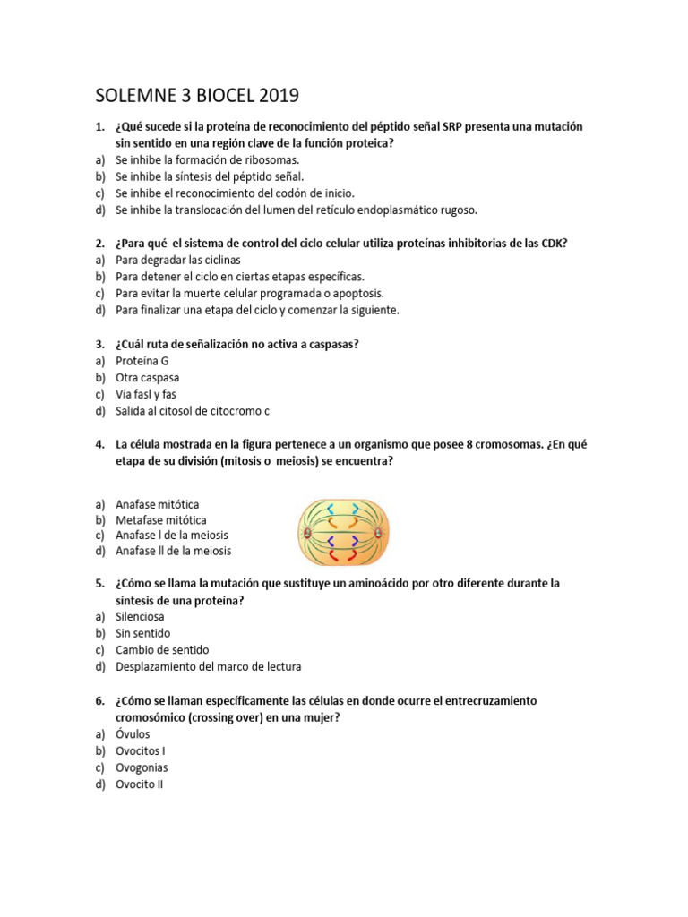 Comparto 'SOLEMNE 3 BIOCEL 2019' Contigo | PDF | Gene | Dominancia (Genética)