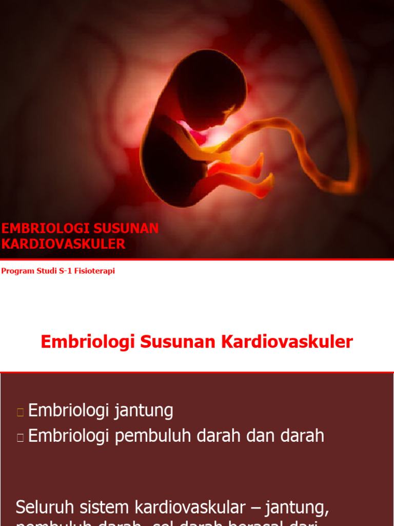 Embriologi Sistem Kardiovaskuler 12 | PDF | Sains & Matematika