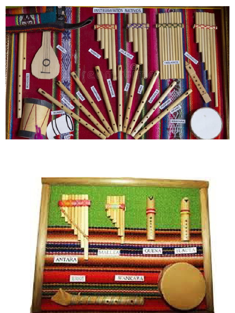 Instrumentos Musicales de Bolivia | PDF