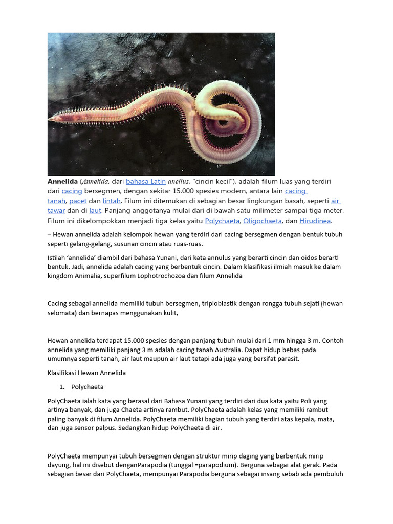 Mengenal Annelida: Cacing Bersegmen | PDF | Sains & Matematika