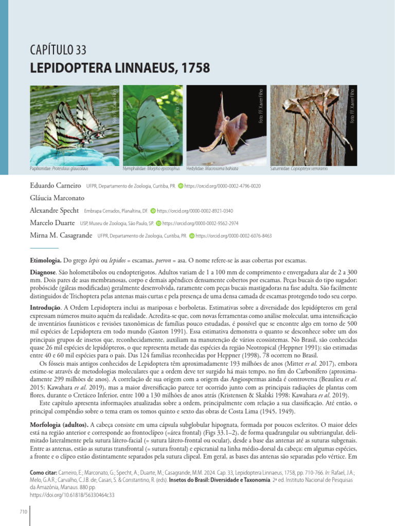 CAP33 Lepidoptera | PDF | Lepidoptera